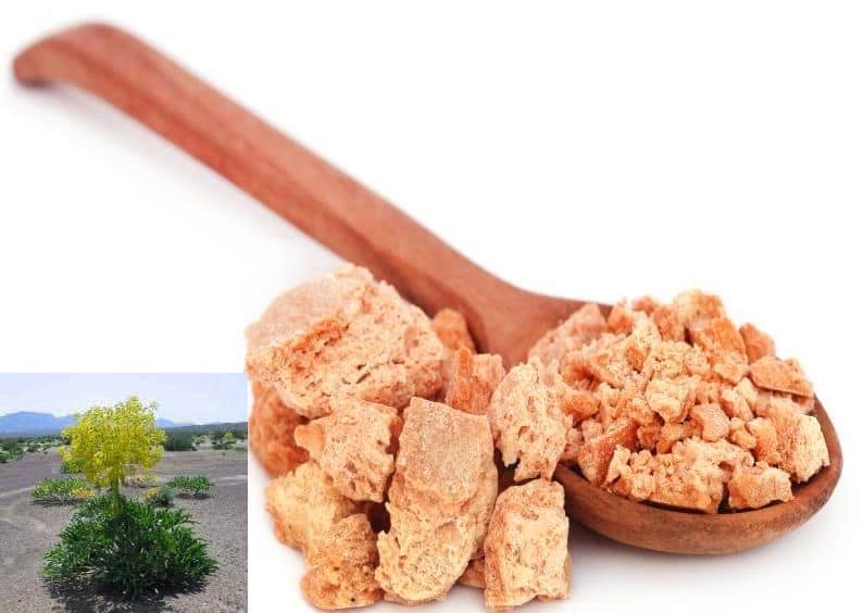 Top 07 Health Benefits of Asafetida-Perumkayam,Perankayan